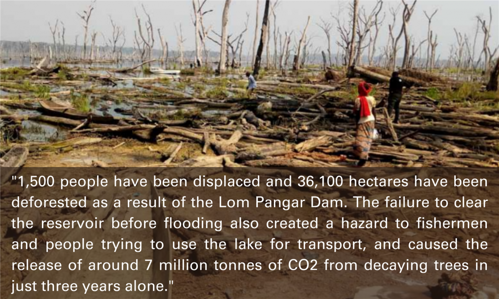 New RFUK report reveals the growing extent, and impact, of transport ...