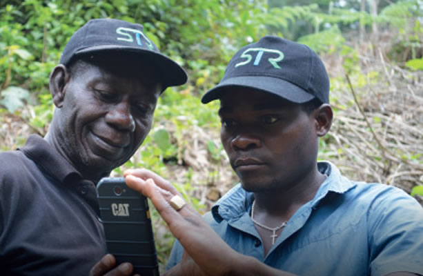 ForestLink - Rainforest Foundation UK