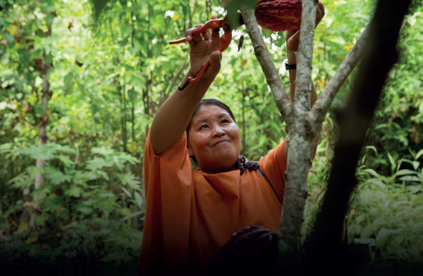Indigenous Land & Livelihoods - Rainforest Foundation UK