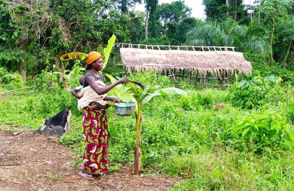A beacon of hope for Congo’s rainforests: DRC government adopts ...