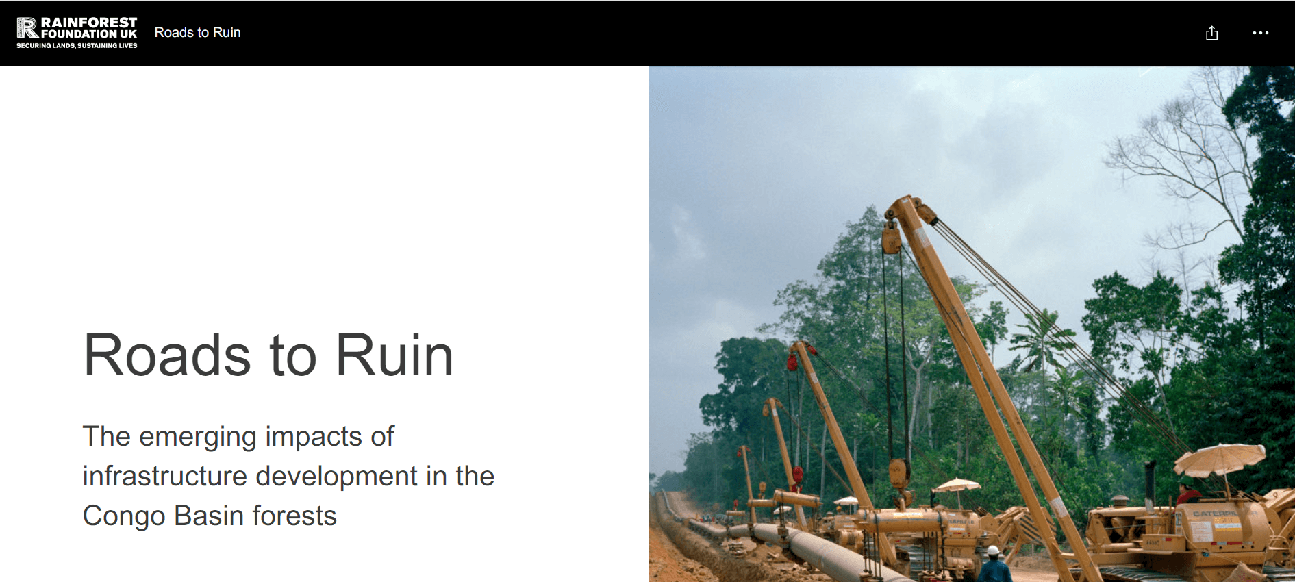 Extractives & Infrastructure - Rainforest Foundation UK