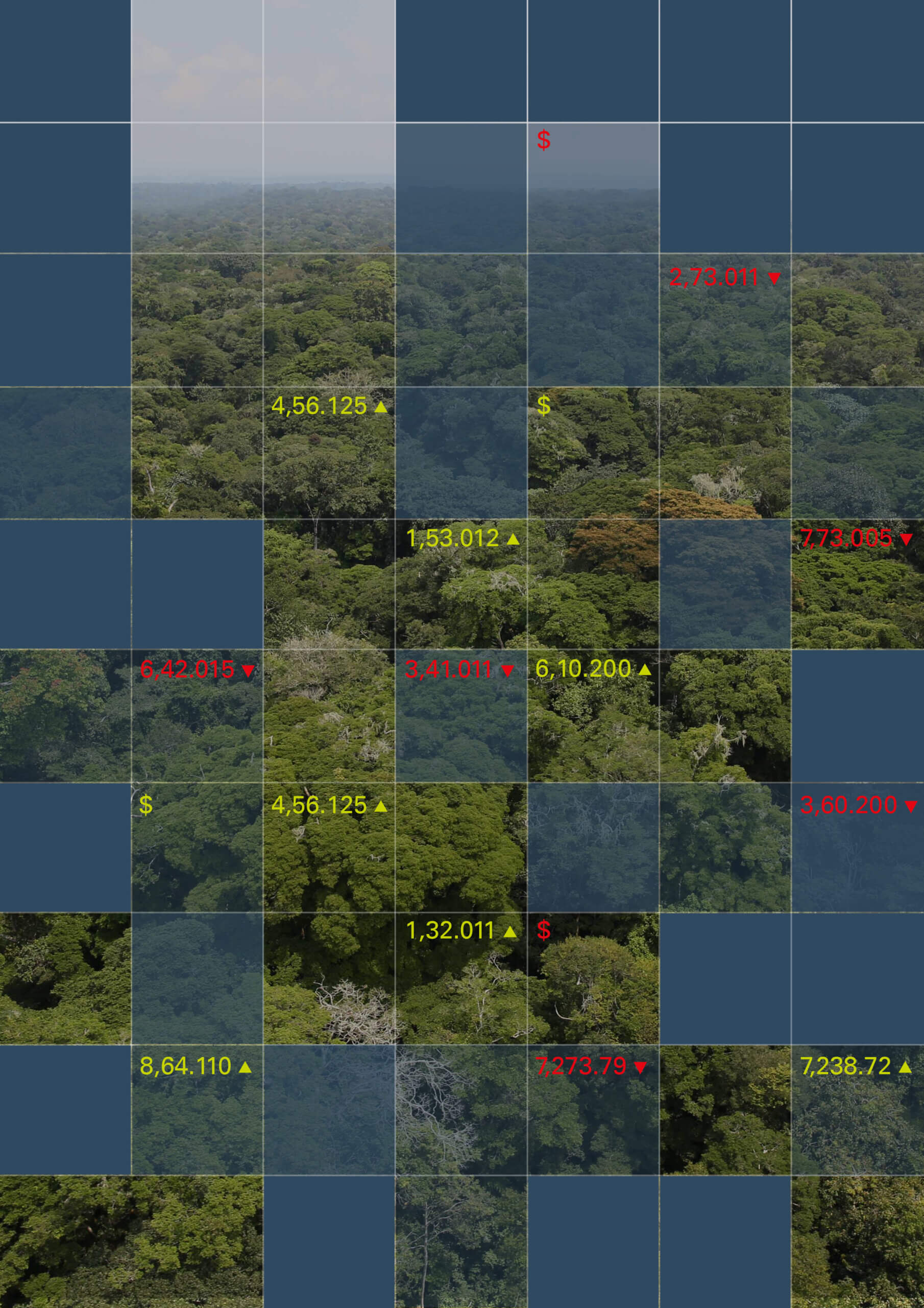 New analysis finds leading global carbon offset schemes are failing ...