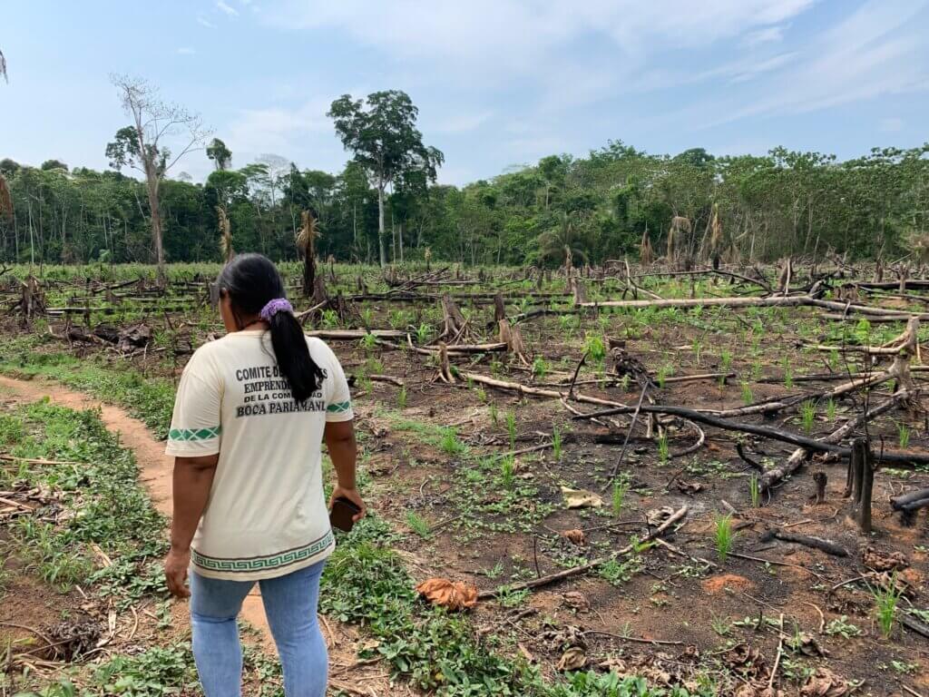 Guardians of Boca Pariamanu: RFUK’s new map story highlights Indigenous ...