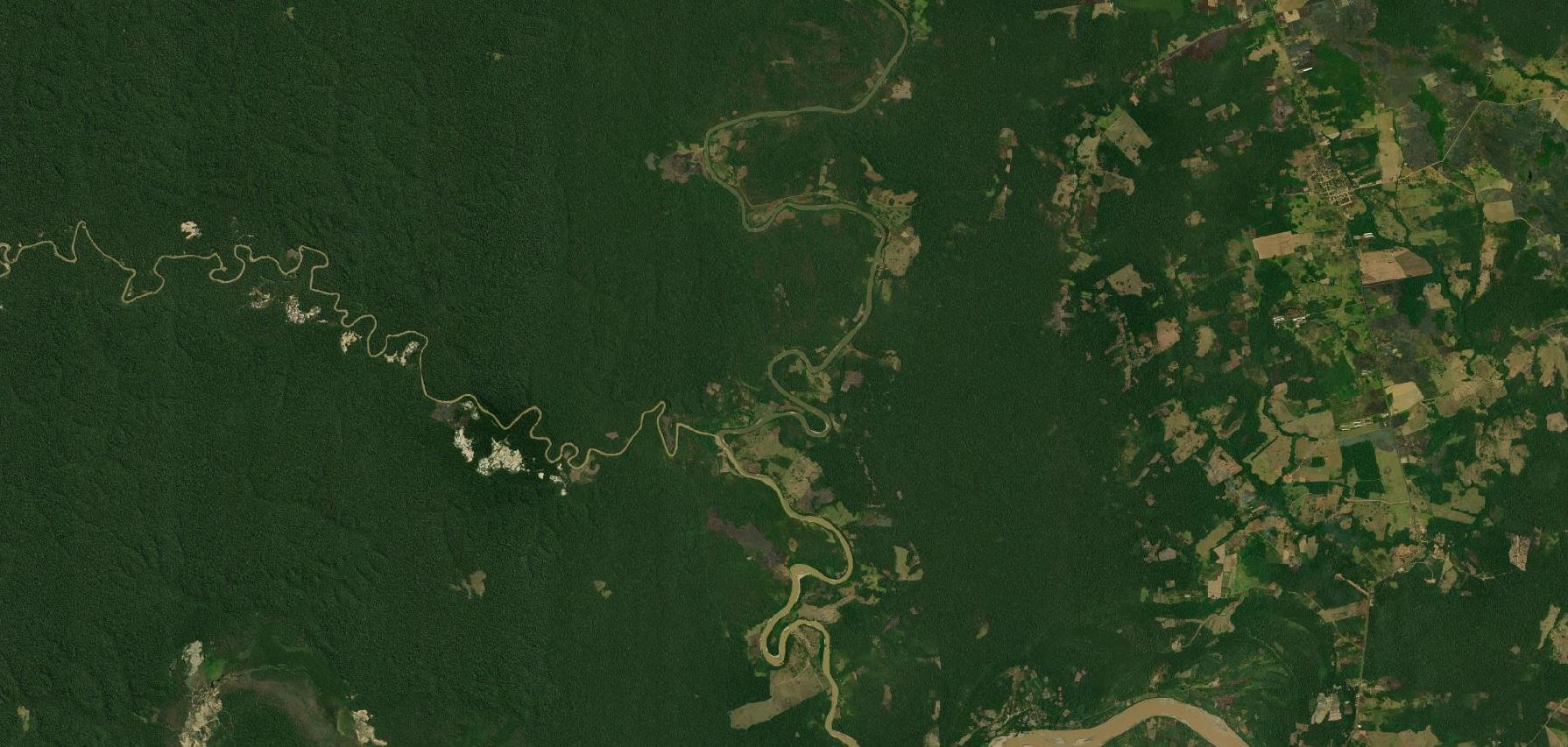 Guardians of Boca Pariamanu: RFUK’s new map story highlights Indigenous ...