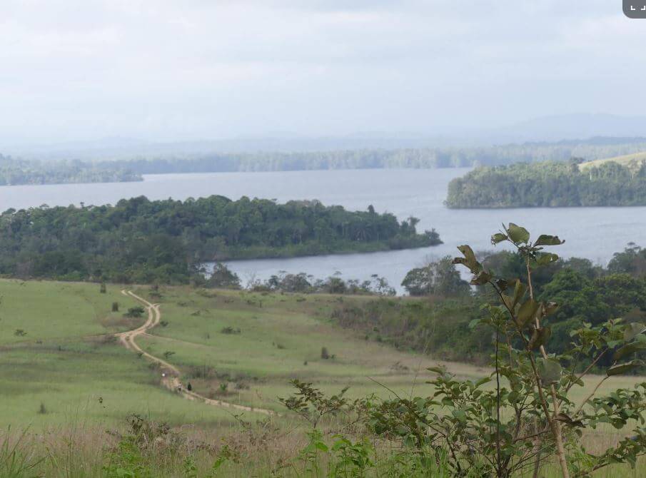 Civil Society Calls for Urgent Ban on Oil Exploration in Congo’s ...