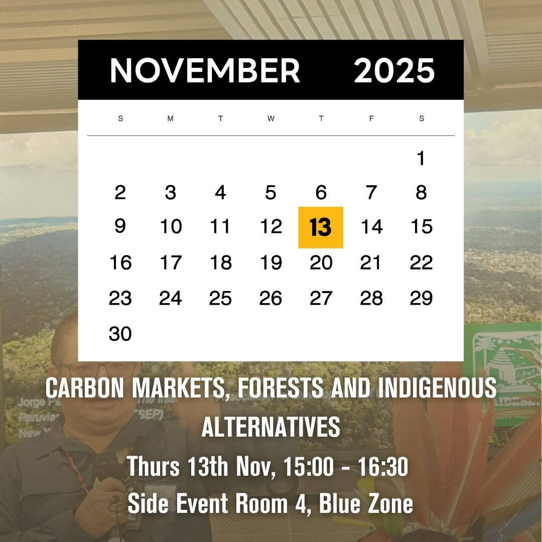 COP30: key talking points for forests and peoples and what RFUK will be ...